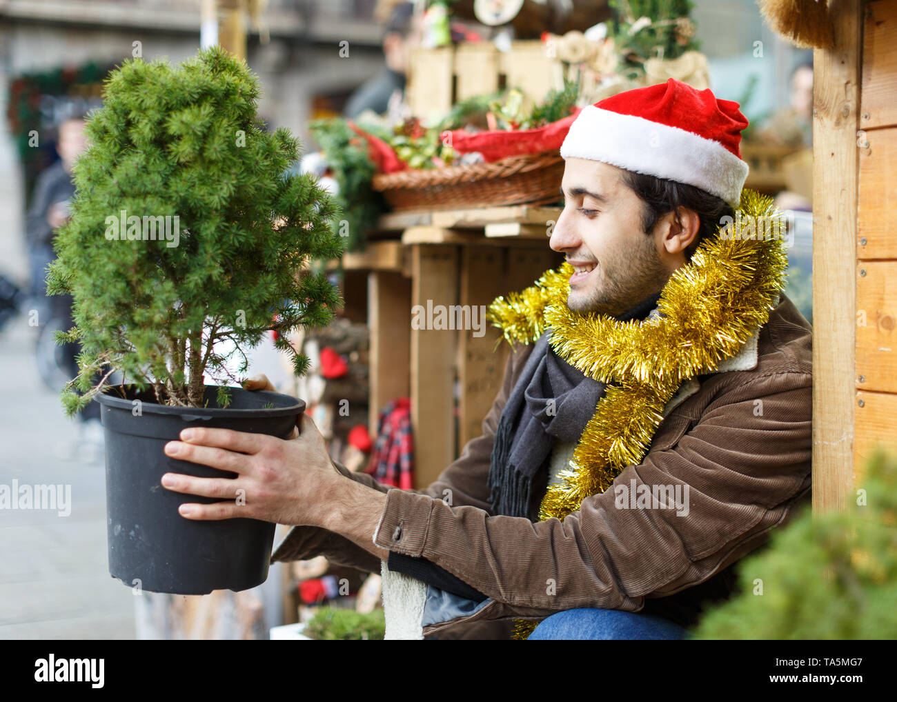 Portrait of young man choosing small Christmas tree at Christmas market ...