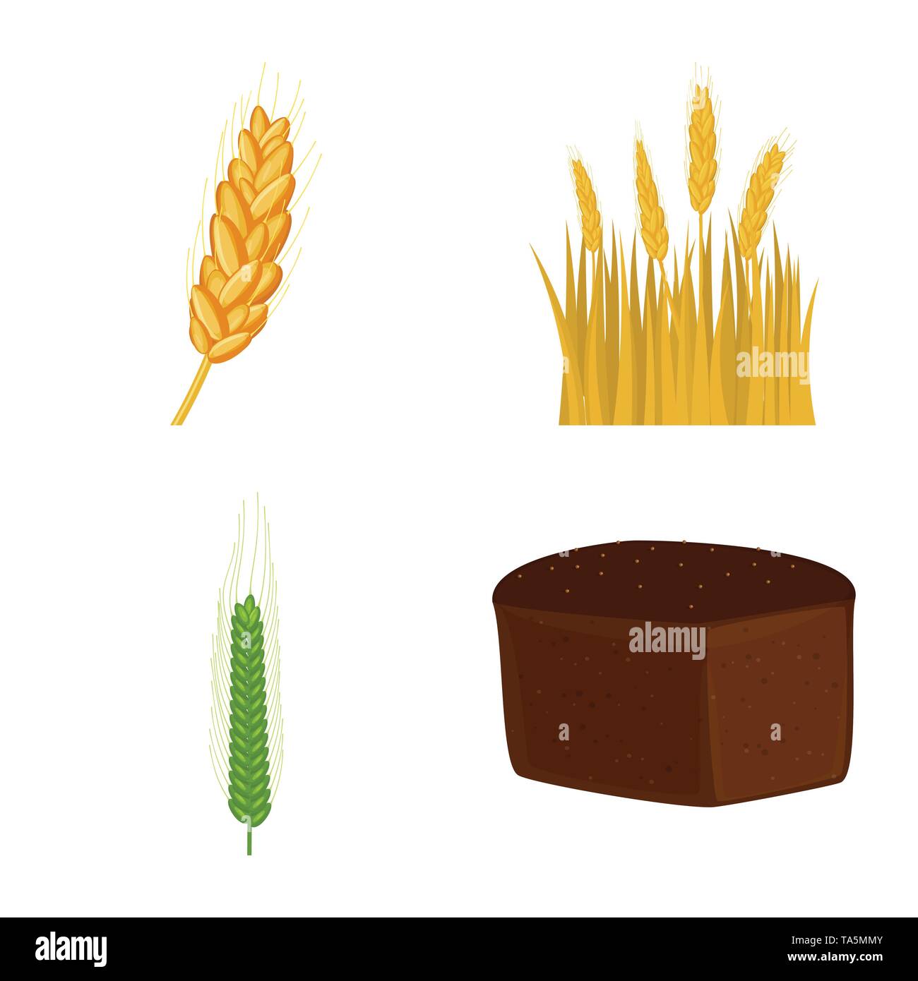 All bran loaf Stock Vector Images - Alamy