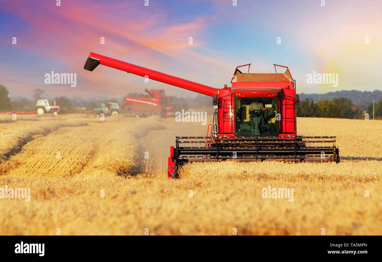 Modern harvesting machine wheat hi-res stock photography and images - Alamy