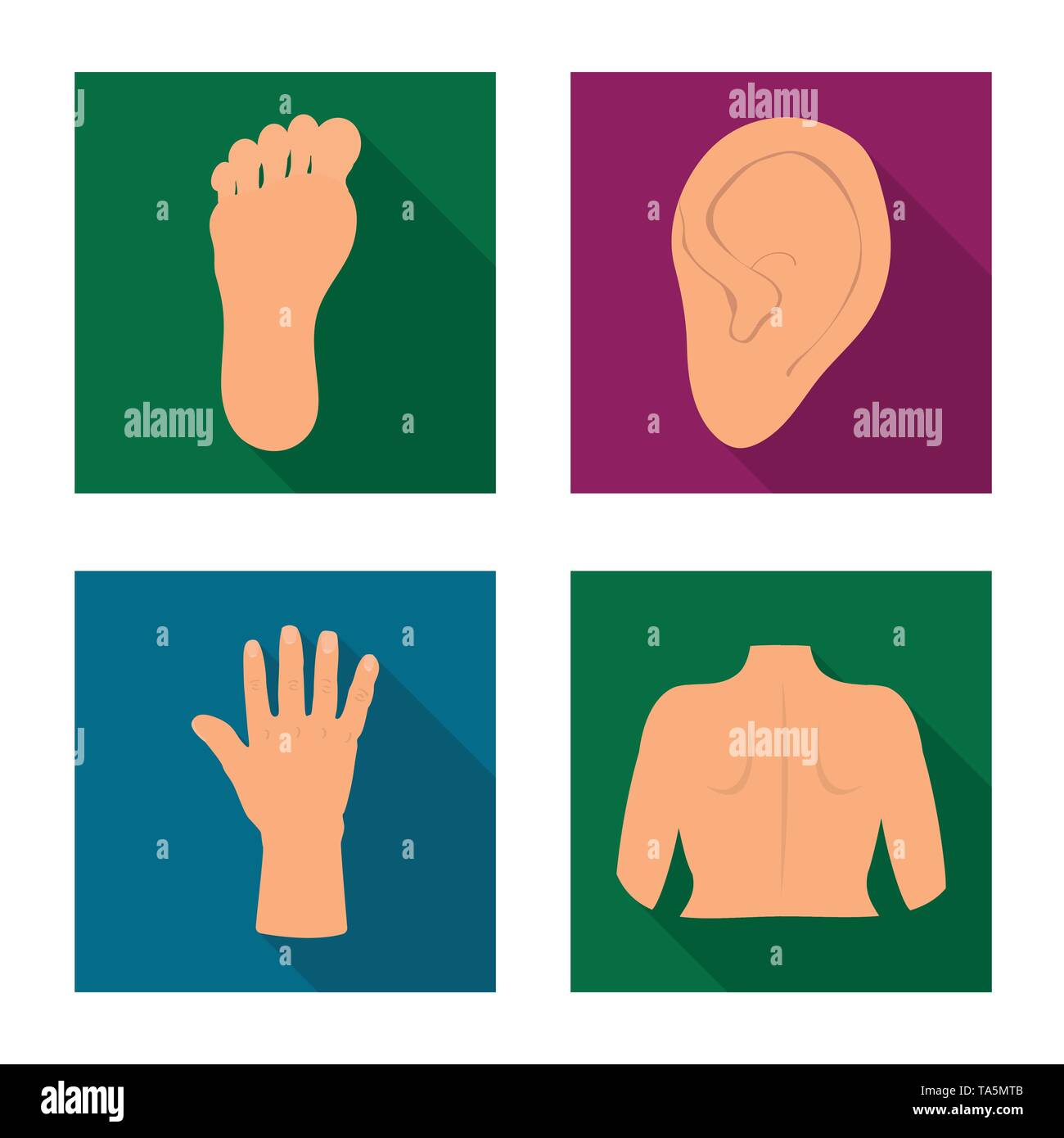 Vector design of body and part icon. Set of body and anatomy stock ...