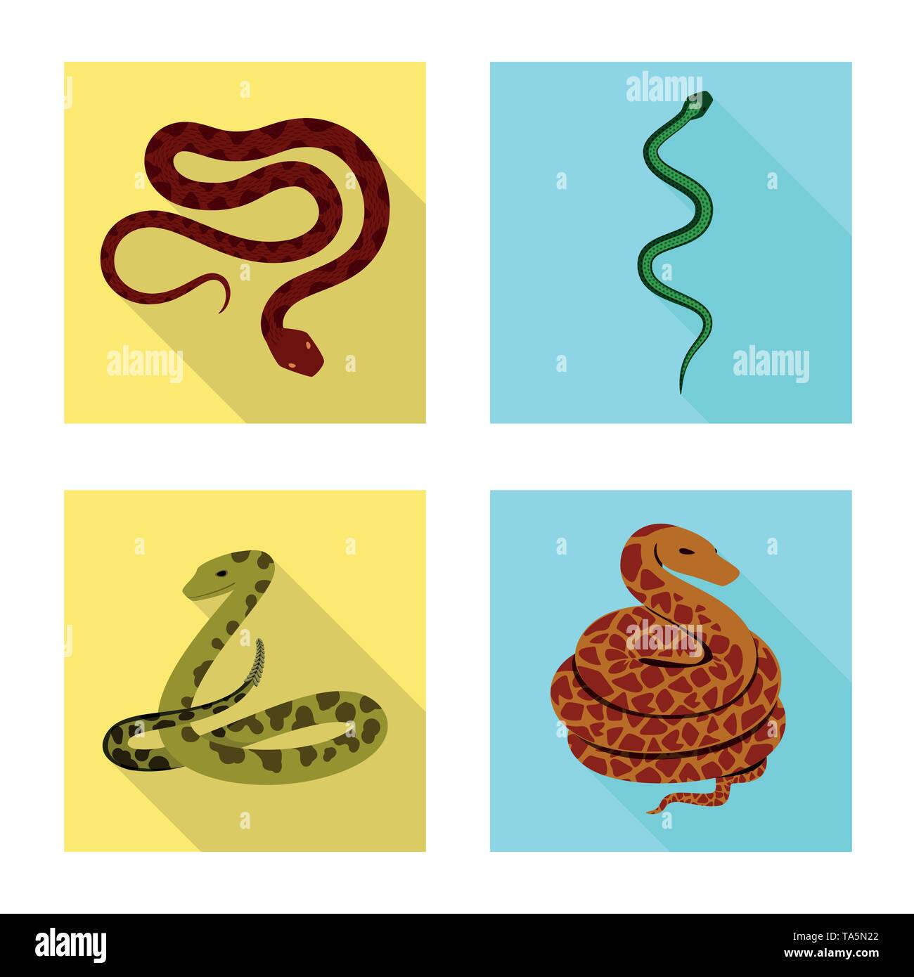 viper,snake,tail,python,peril,wild,bounce,animal,spiral,forest,seamless ...