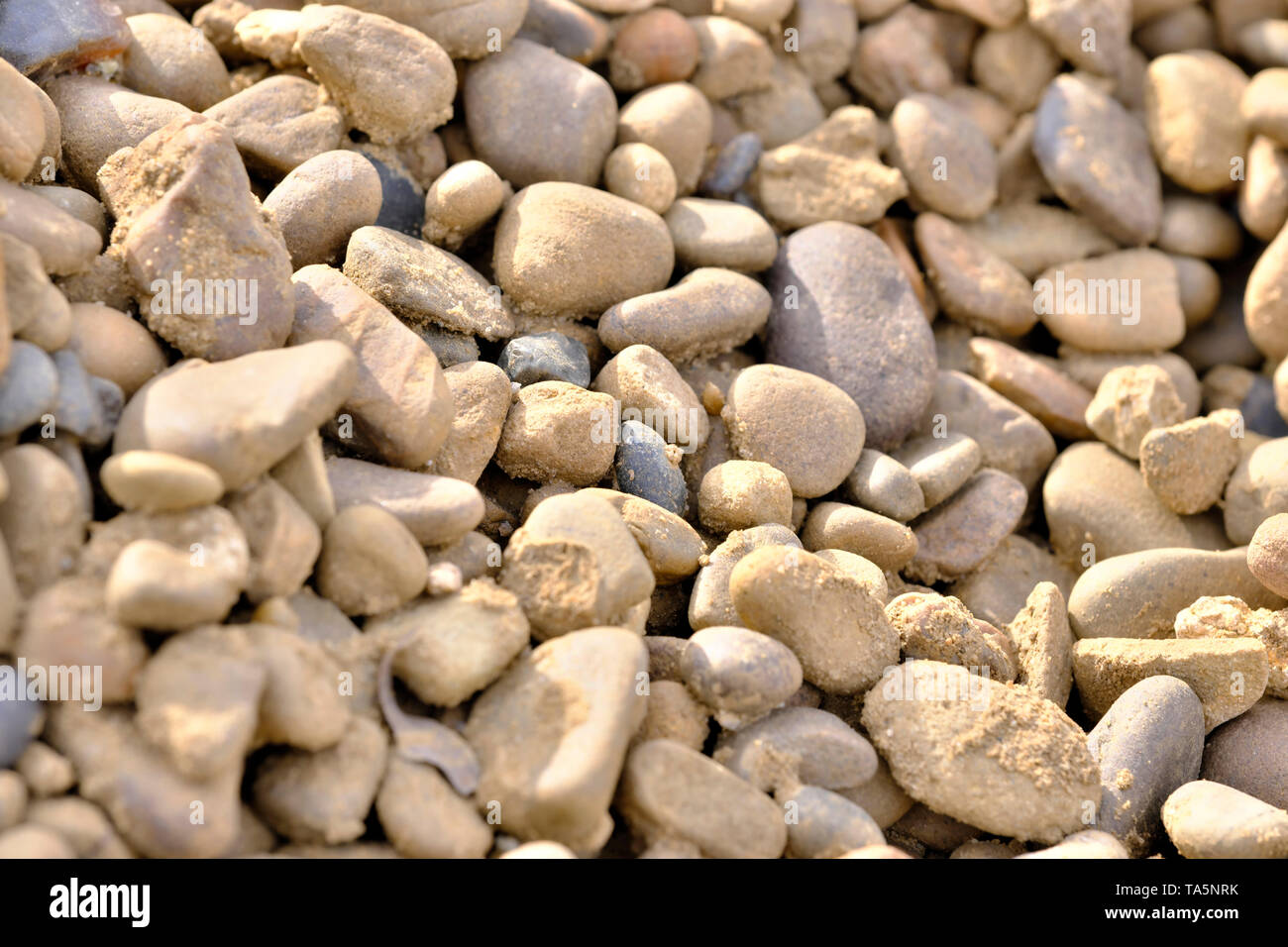 Decorative stone building pebbles close-up macro photo stone designer ...