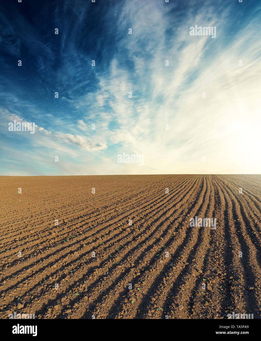 black plowed field and sunset in blue sky with clouds Stock Photo - Alamy