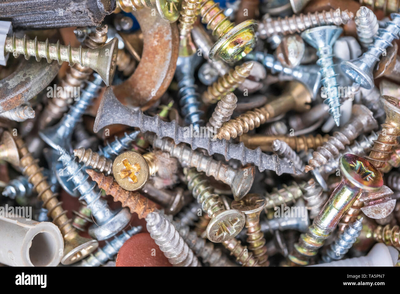 Metal screws of different diameters, new and old, second-hand Stock ...