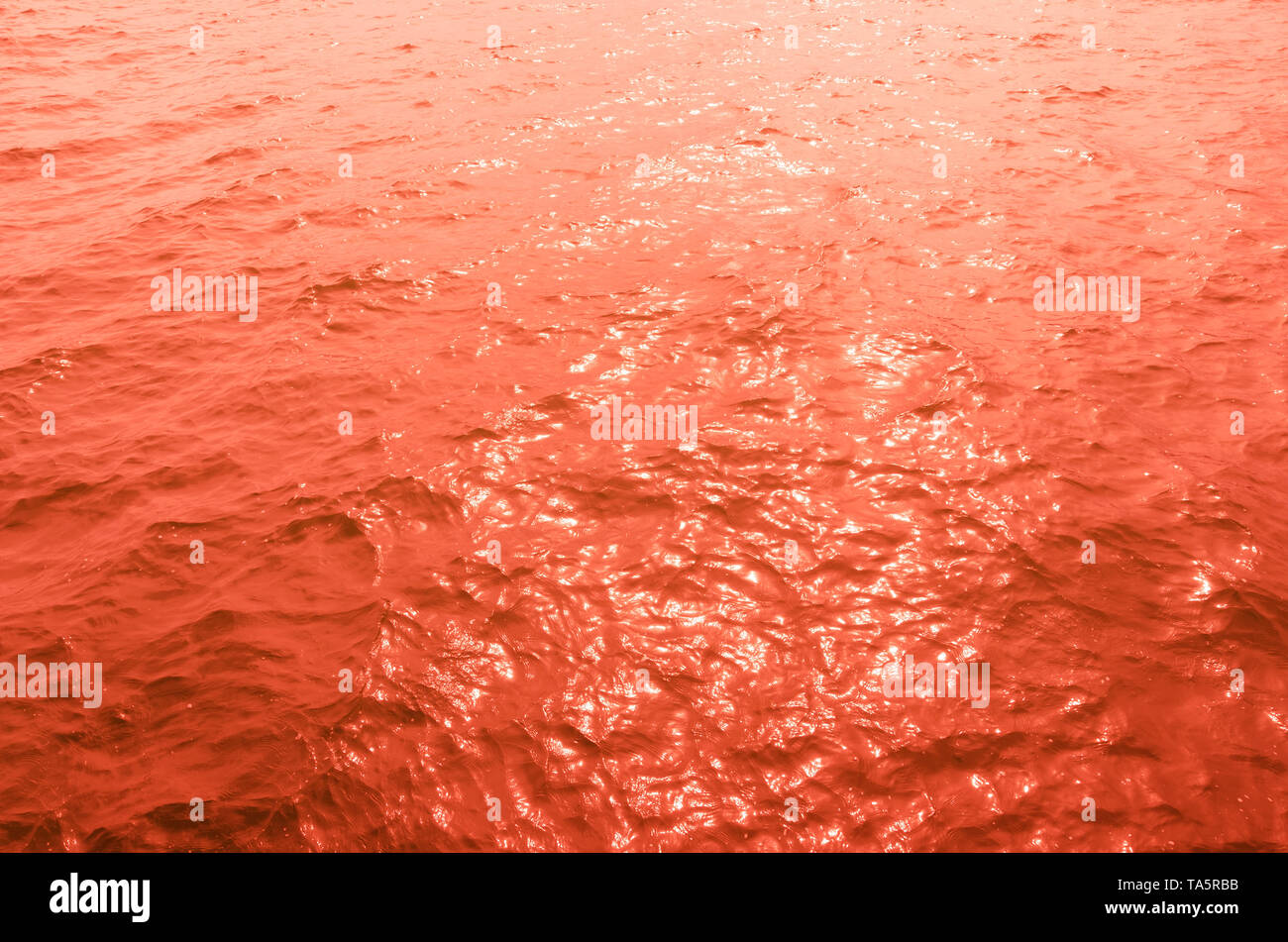 trendy pink color sea surface as natural background Stock Photo - Alamy