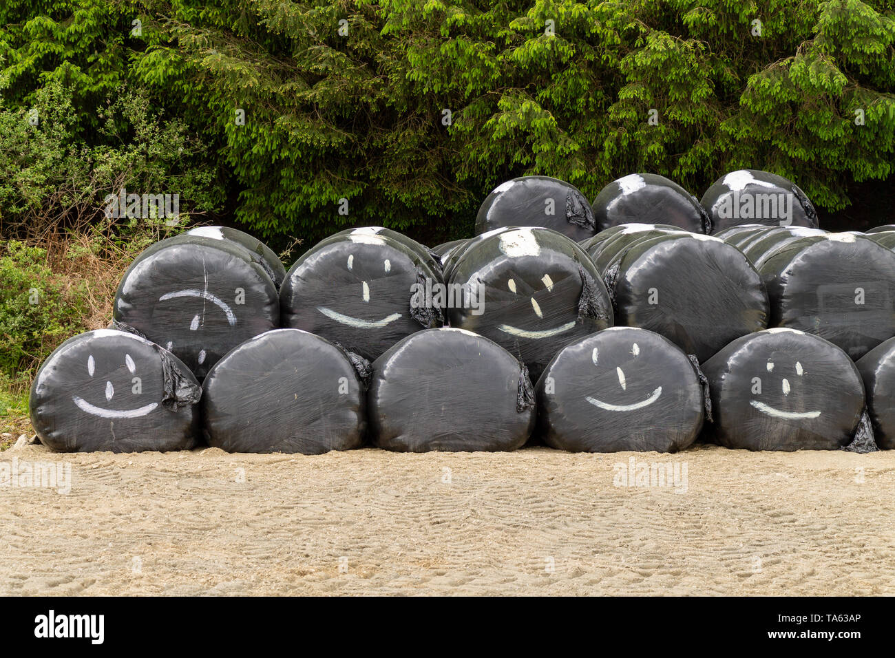 Smileys people hi-res stock photography and images - Alamy
