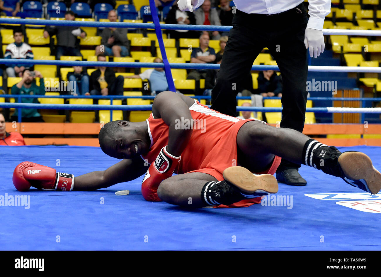 Boxing referee counting hi-res stock photography and images - Alamy