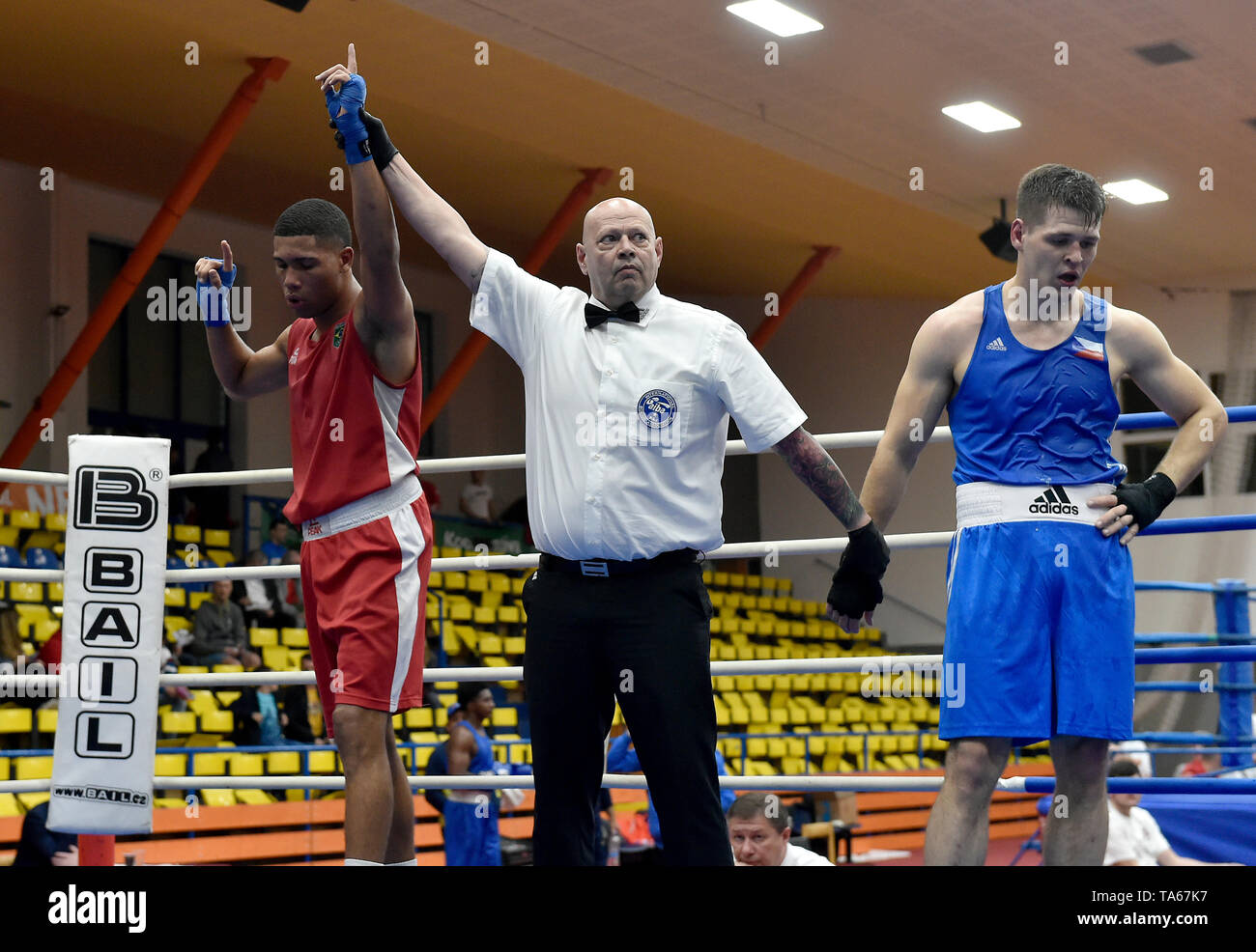 Brazil winner hi-res stock photography and images - Alamy