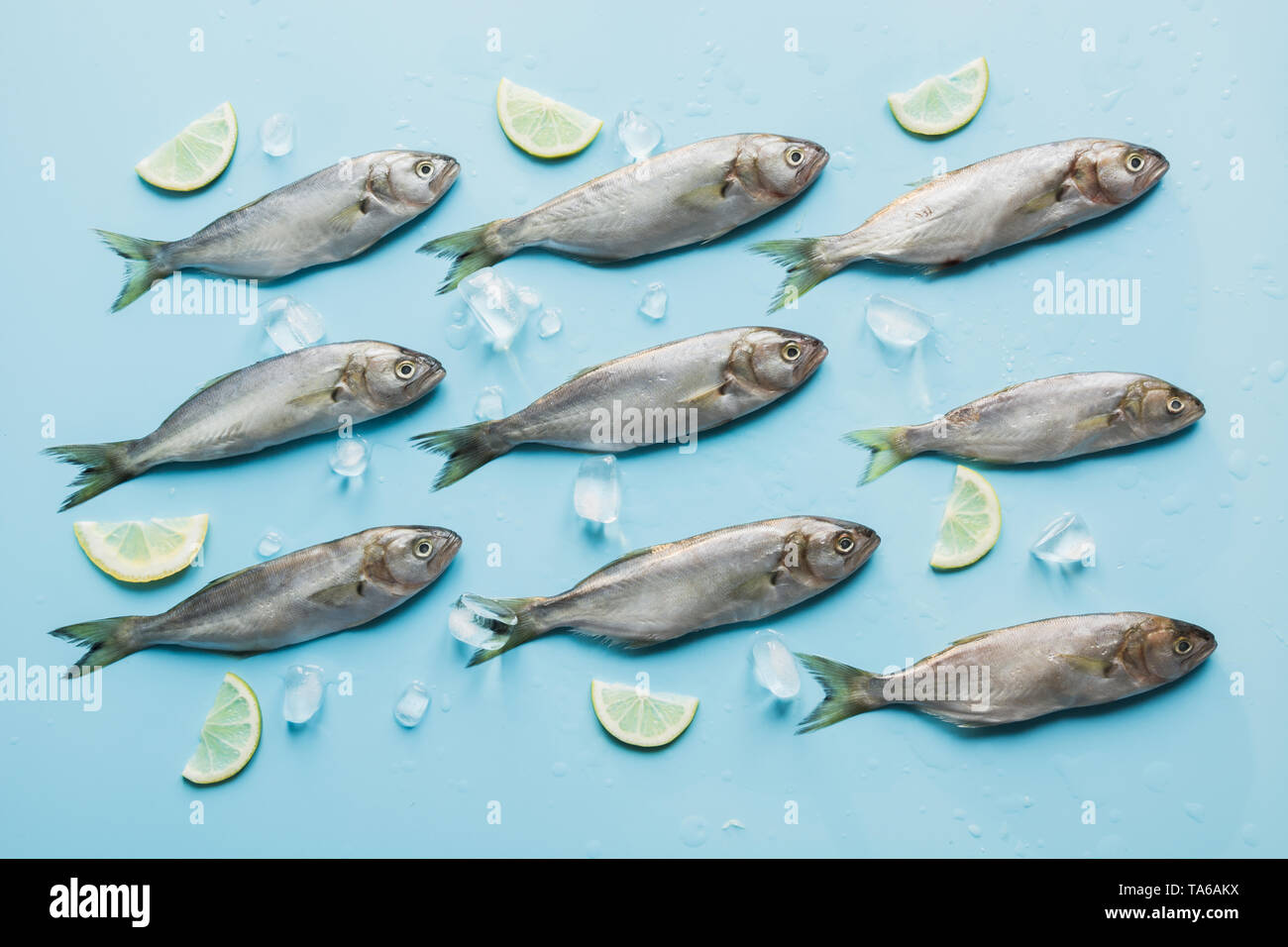 Raw Bluefish High Resolution Stock Photography and Images - Alamy
