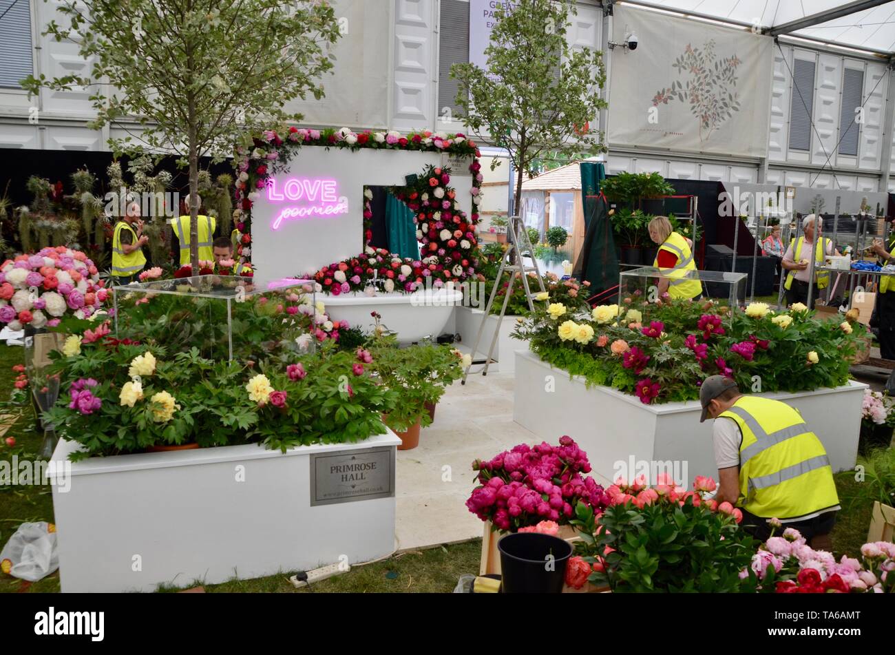 primrose hall at the 2019 rhs chelsea flower show in london england ...