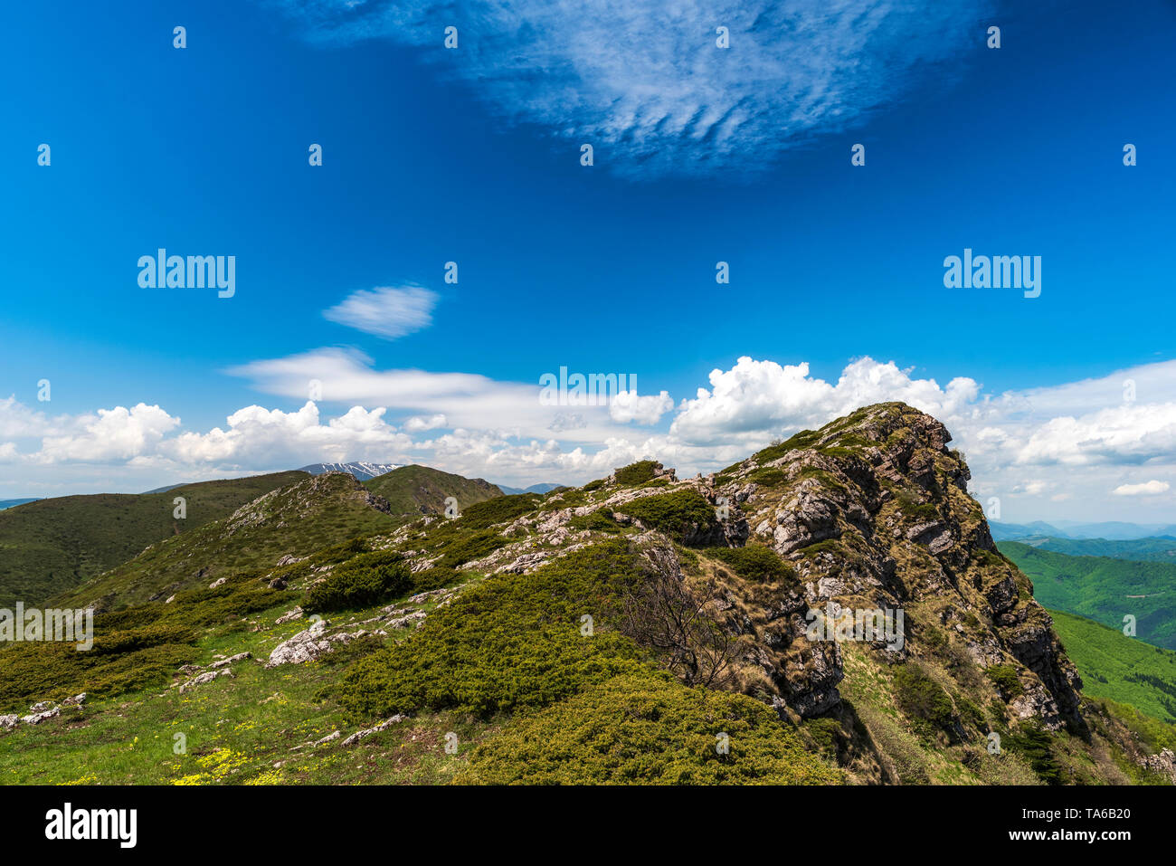 Spring in Central Balkan national park in Bulgaria, Kozya stena (goat ...
