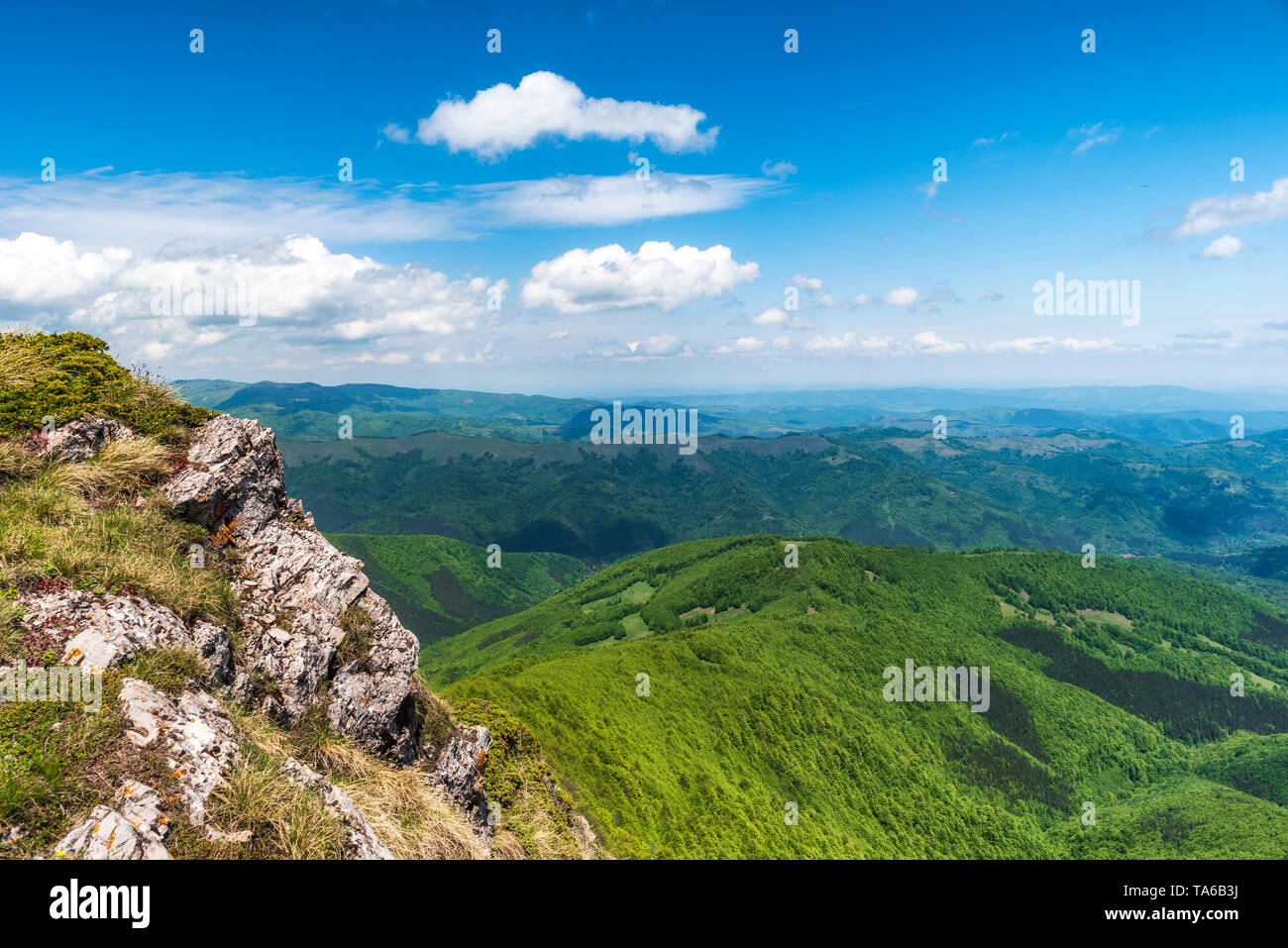 Spring in Central Balkan national park in Bulgaria, Kozya stena (goat ...
