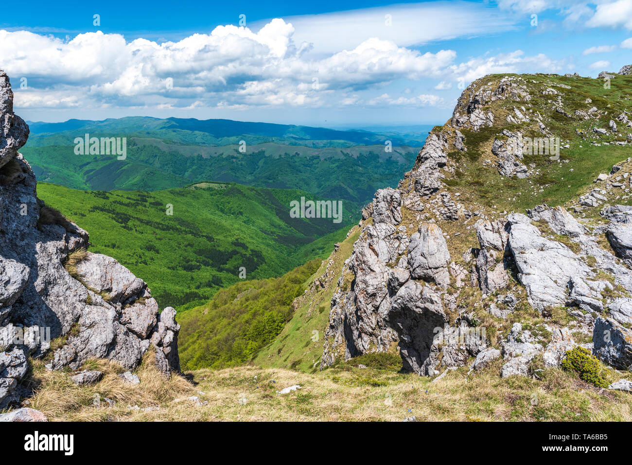 Spring in Central Balkan national park in Bulgaria, Kozya stena (goat ...