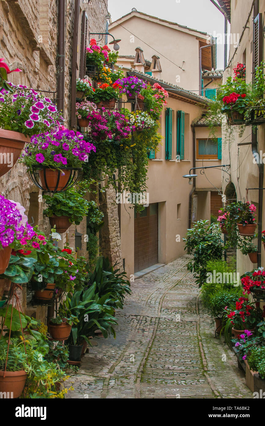 Balcony terrace geranium vase hi-res stock photography and images - Alamy