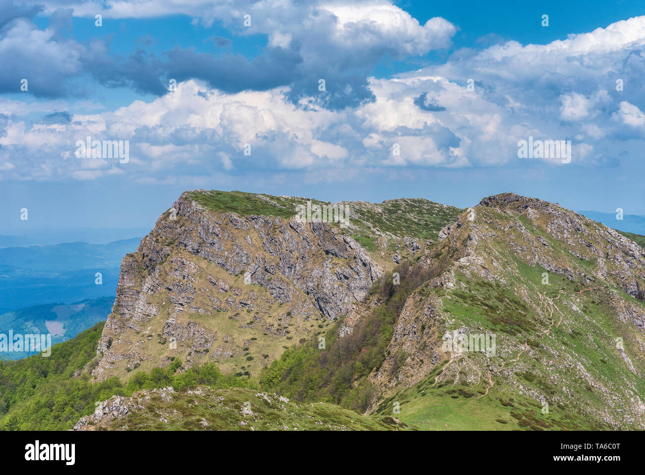 Spring in Central Balkan national park in Bulgaria, Kozya stena (goat ...