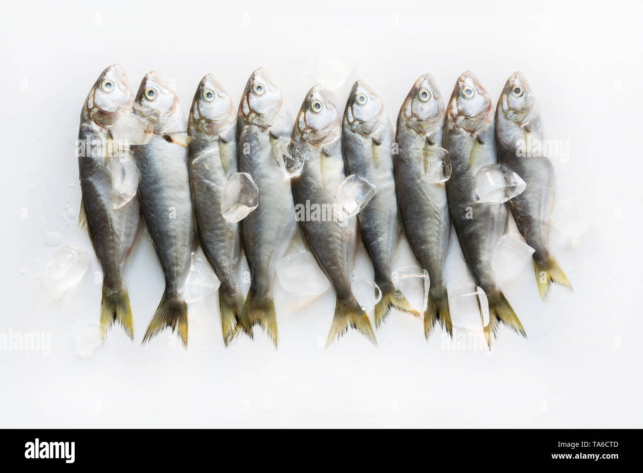 Fish pattern hi-res stock photography and images - Alamy