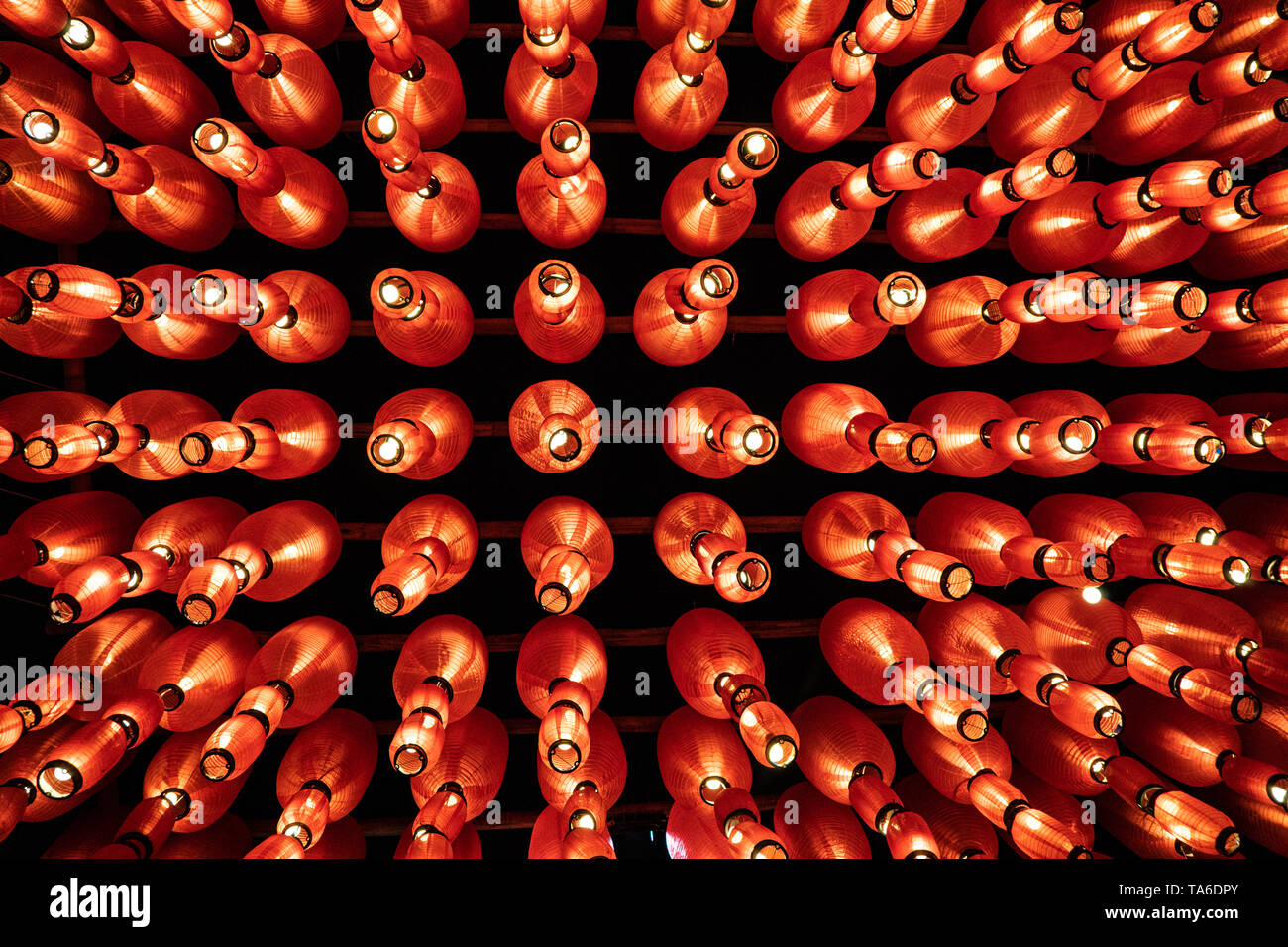 Red Asian Lamps at the Phuket Vegetarian Festival in Thailand, Asia ...