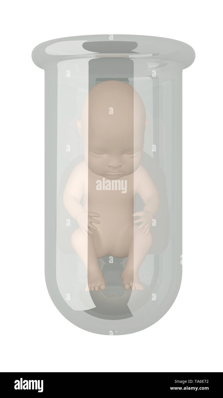 Embryo human fertility Cut Out Stock Images & Pictures - Alamy