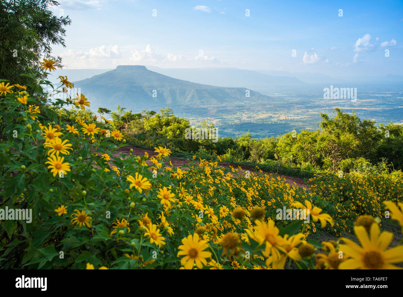 The scenery view hi-res stock photography and images - Alamy