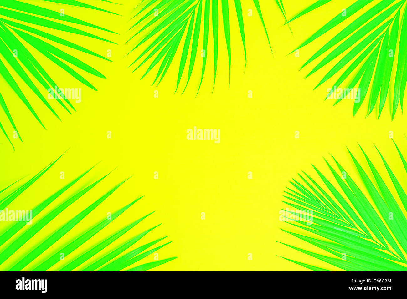 Neon Yellow Wallpaper