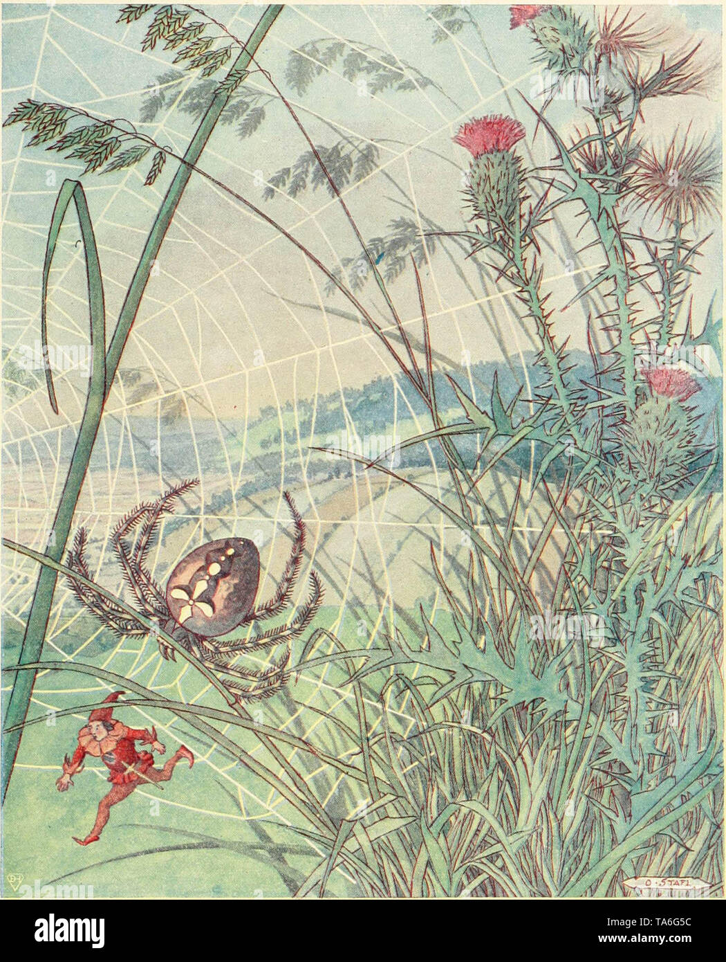 Little tom hi-res stock photography and images - Alamy