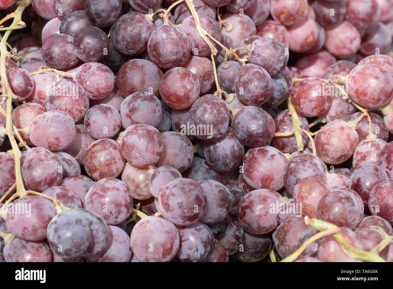 A bunch of fresh red grapes sweet and delicious. Food background Stock ...