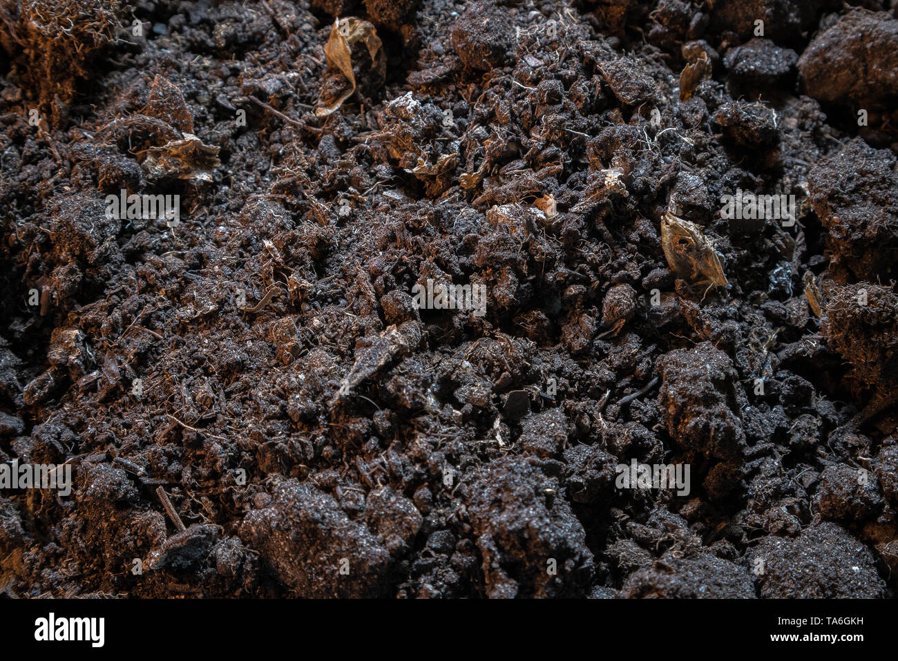 Dark texture of black dirt ground. Top view of black earth surface ...