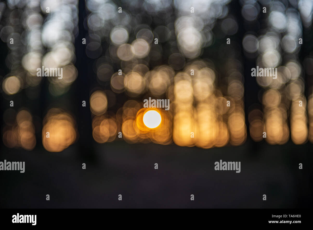 sunset behind trees with lens blur effect. dark tones background Stock ...