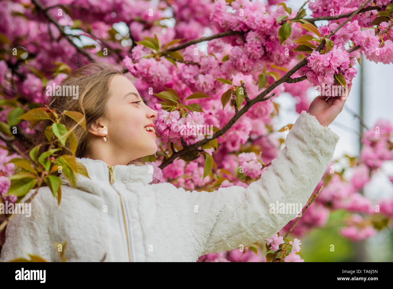 Tender bloom. Bright and vibrant. Soft and tender. Pink is on my mind ...