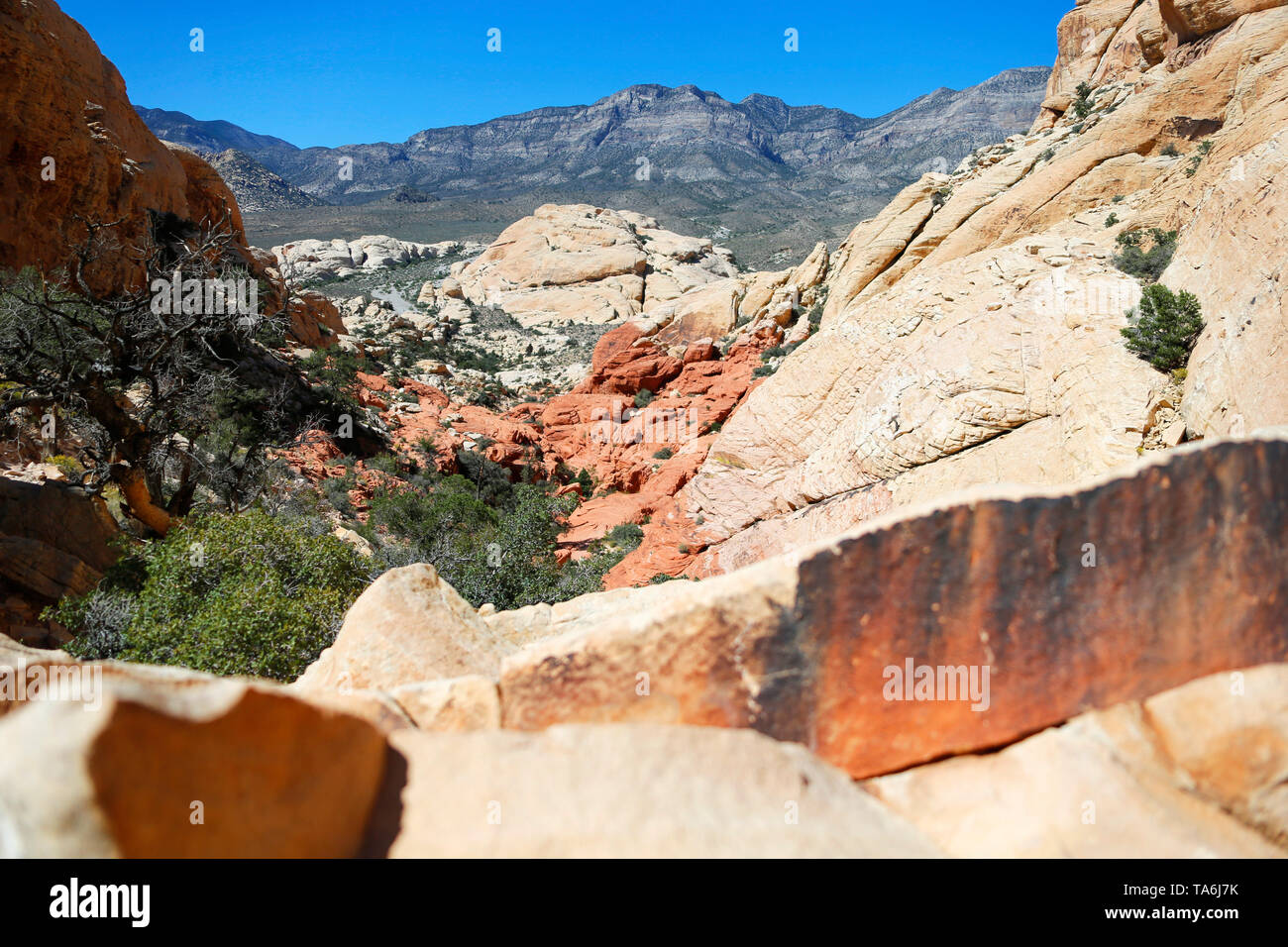 Rock Formations in Red Rock Cayon Conservation Area, Nevada, United ...