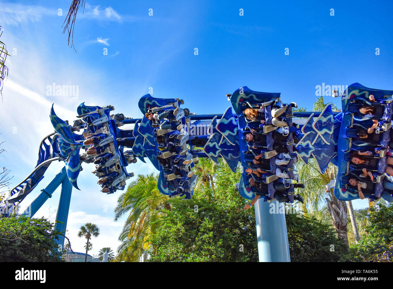 Orlando, Florida. December 19, 2018. Amazing view of Manta Ray ...