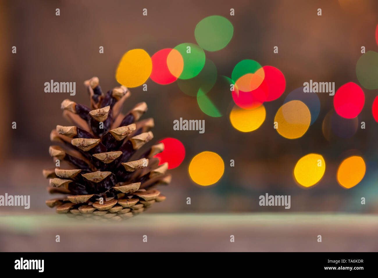 Fir tree fruit hi-res stock photography and images - Alamy