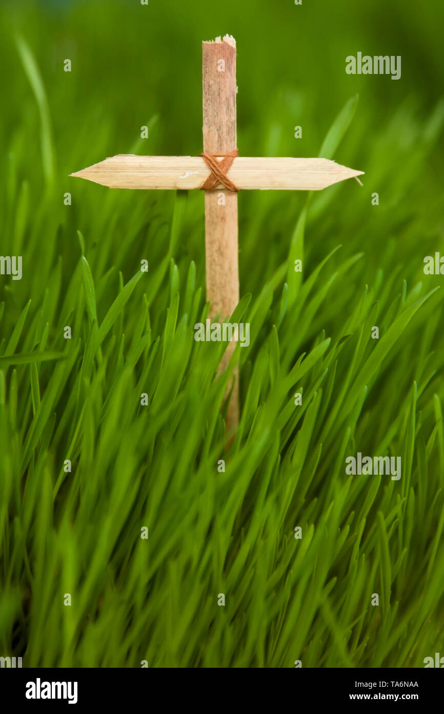 Small wooden cross in the green grass Stock Photo - Alamy