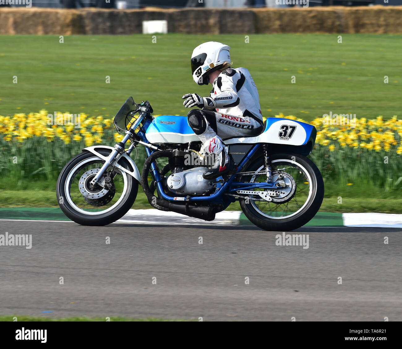 Max Hunt, Triumph Bonneville, Sheene Trophy, Goodwood, 77th Members ...