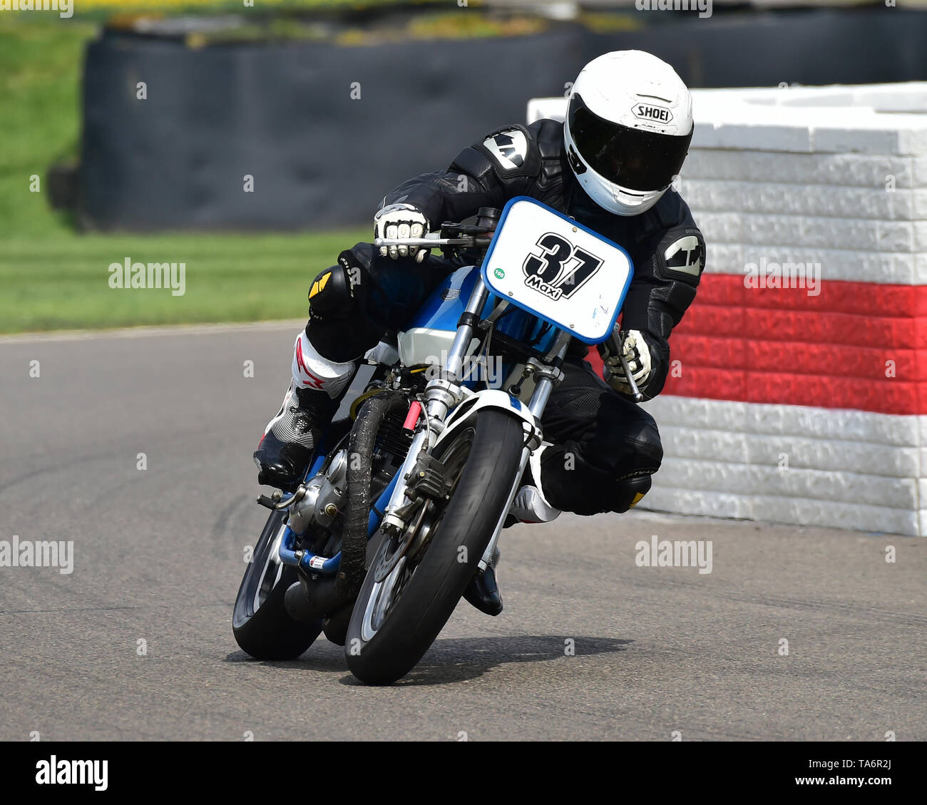 Max Hunt, Triumph Bonneville, Sheene Trophy, Goodwood, 77th Members ...
