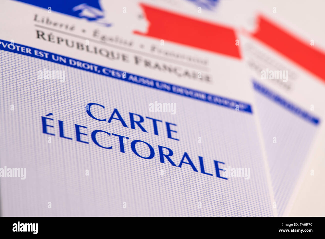French electoral voter cards official government allowing to vote paper ...