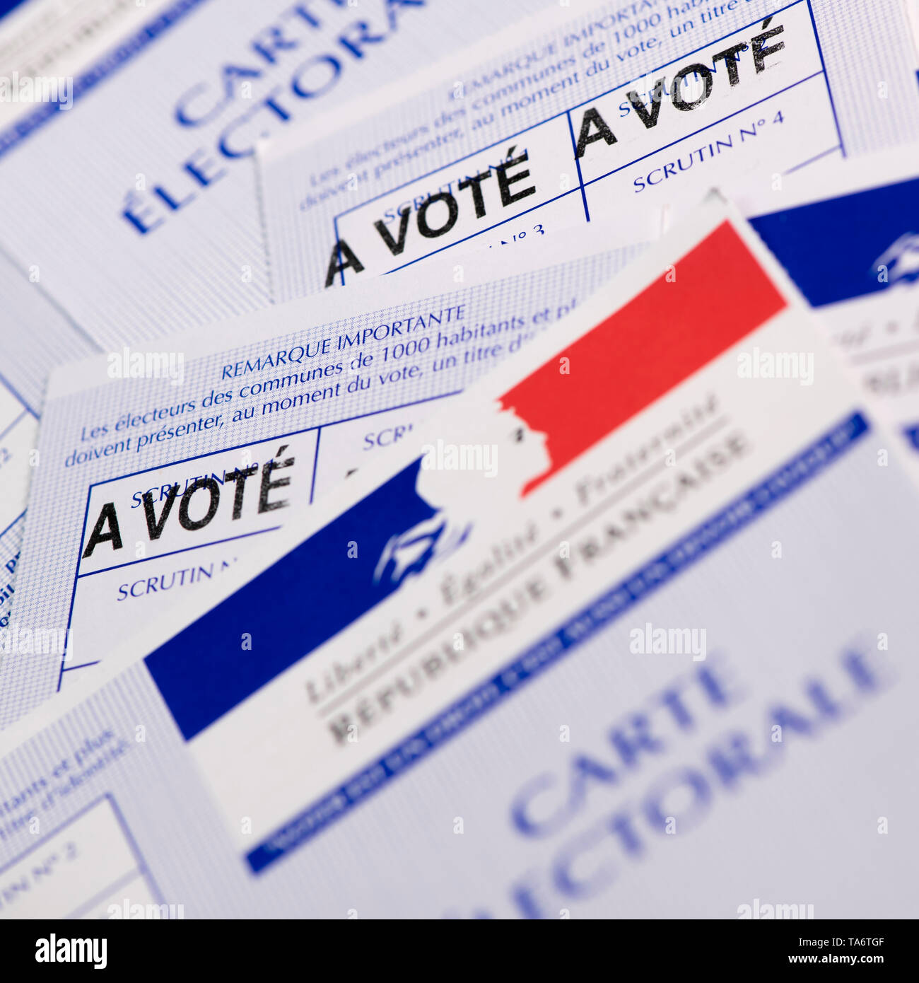 French electoral voter cards official government allowing to vote paper ...
