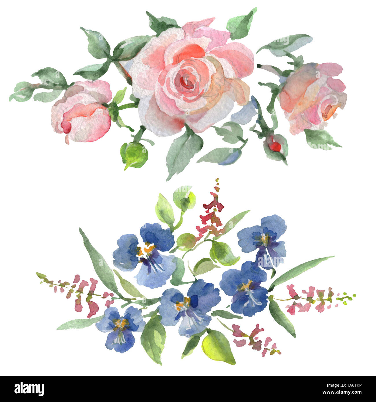 Bouquet floral botanical flowers. Watercolor background illustration ...