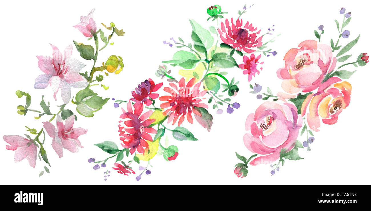 Bouquet floral botanical flowers. Watercolor background illustration ...