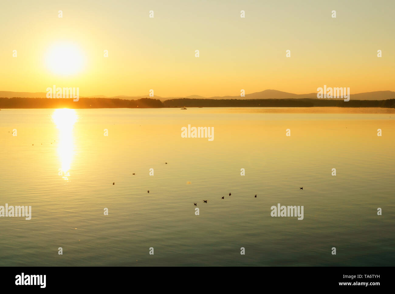 Sea landscape. Summer evening water scene. Sea harbor - summer sea ...