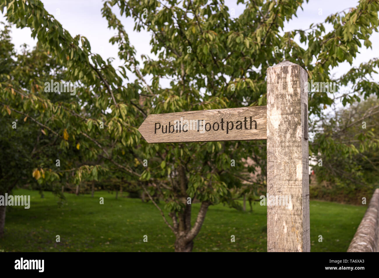 Orchard for public hi-res stock photography and images - Alamy