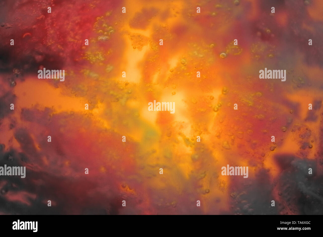 Bio ultra macro background. Look at organic objects under magnifier ...