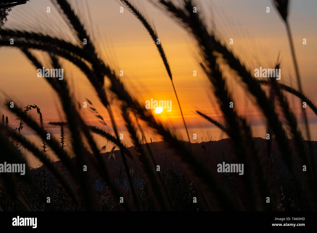 This is a capture of a beautiful sunset and you can see the orange ...