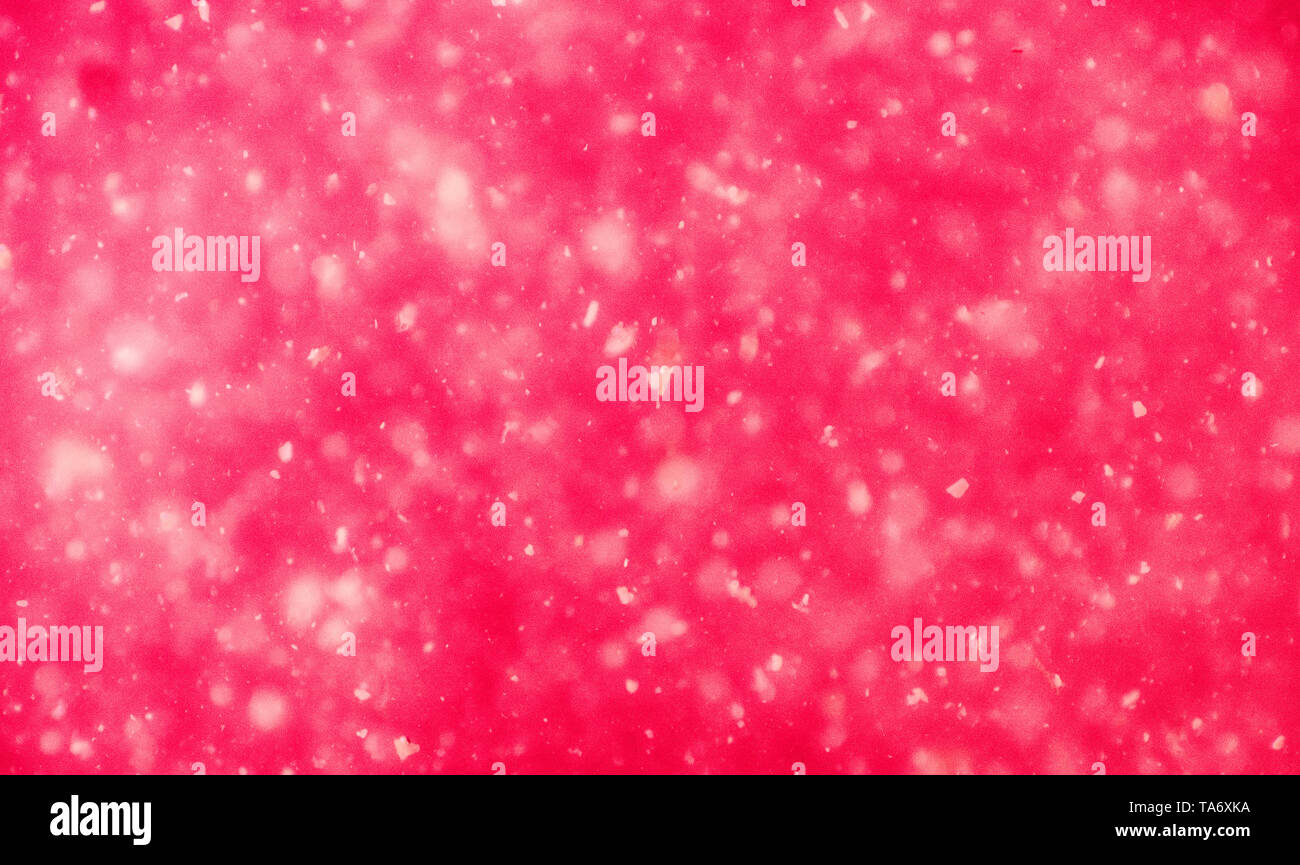 Bio ultra macro background. Organic vegetable background with a big ...