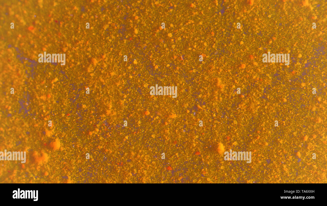 Ultra macro bio vegetable water background. Different particles of ...