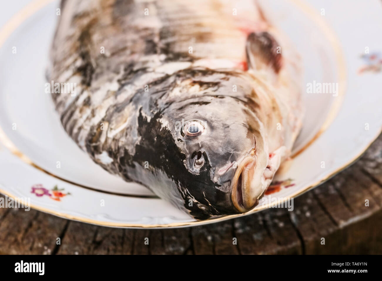 Try on head hi-res stock photography and images - Alamy