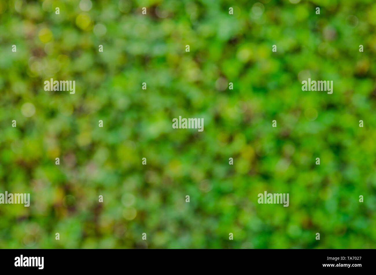 Abstract blurred green nature background. blurry backdrop for design ...