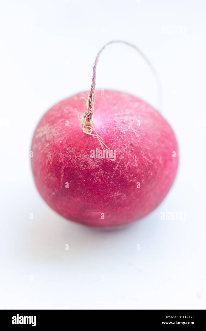 One radish hi-res stock photography and images - Alamy