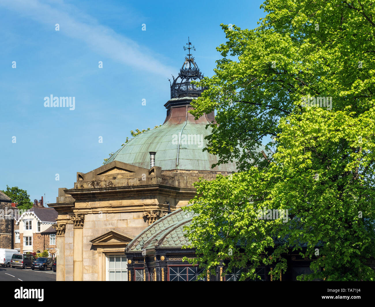 The Royal Pump Room Museum and spring foliage in Harrogate North ...