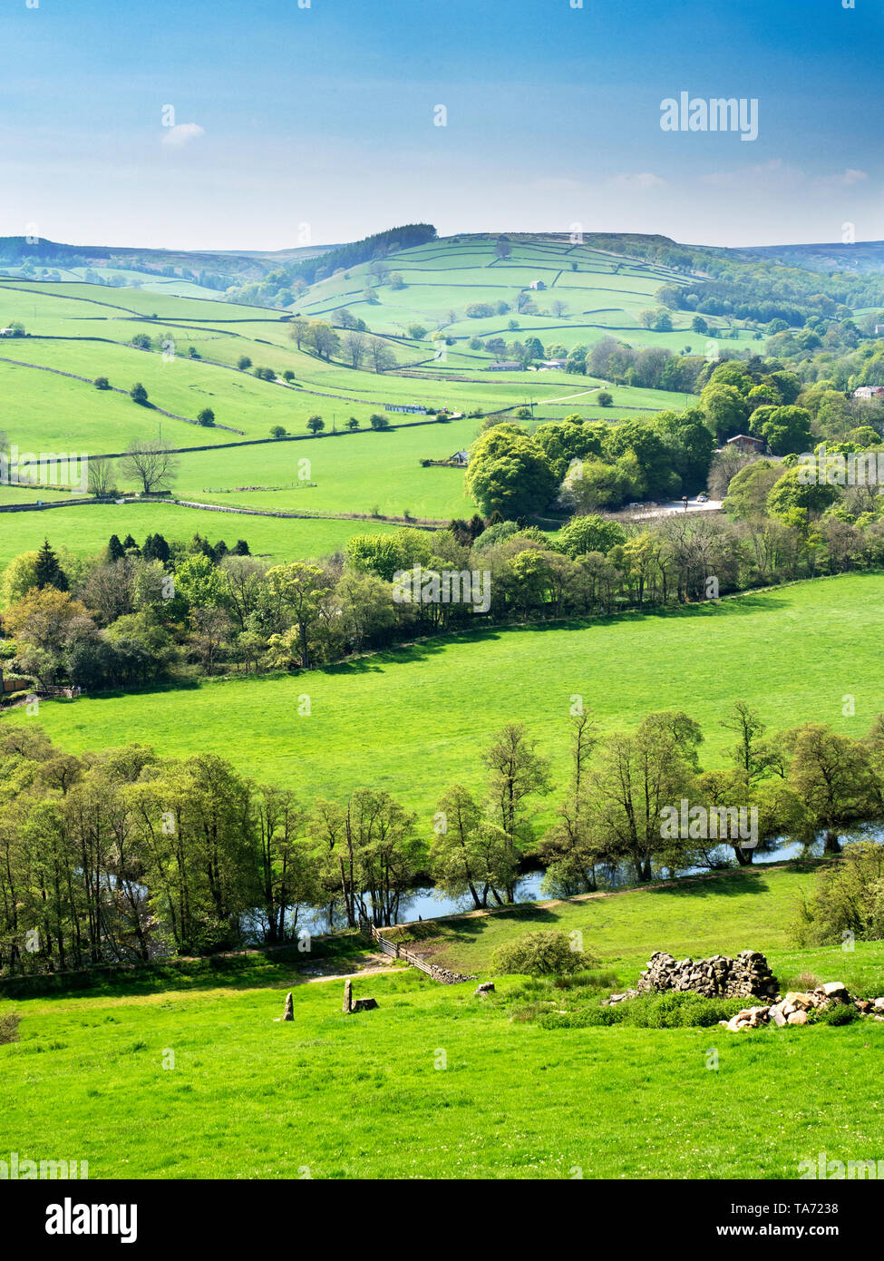 View over Nidderdale in spring from Wath Road near Pateley Bridge North ...